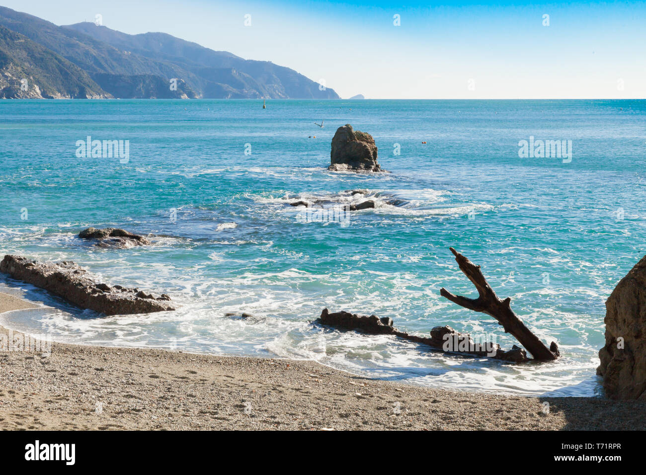 Costa ligure costa monterosso immagini e fotografie stock ad alta ...