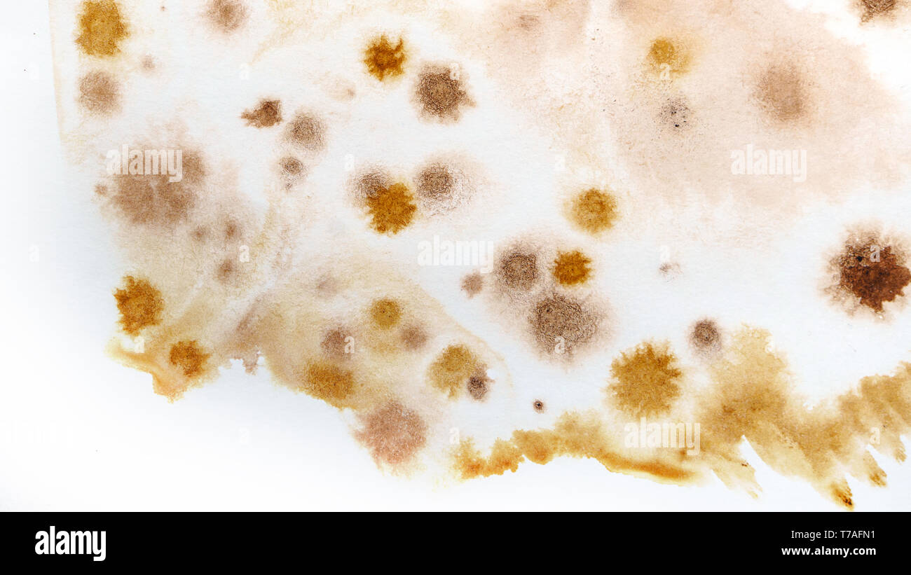 Abstract acquerello marrone dello sfondo. Schizzi e ictus. Alta ...