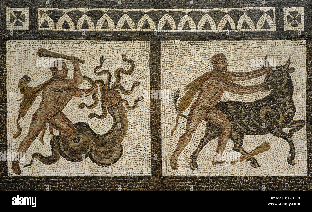 Le Fatiche di Ercole. Mosaico romano. Dettaglio. Raffigurazione di ...