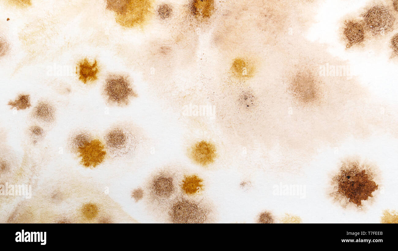 Abstract acquerello marrone dello sfondo. Schizzi e ictus. Alta ...