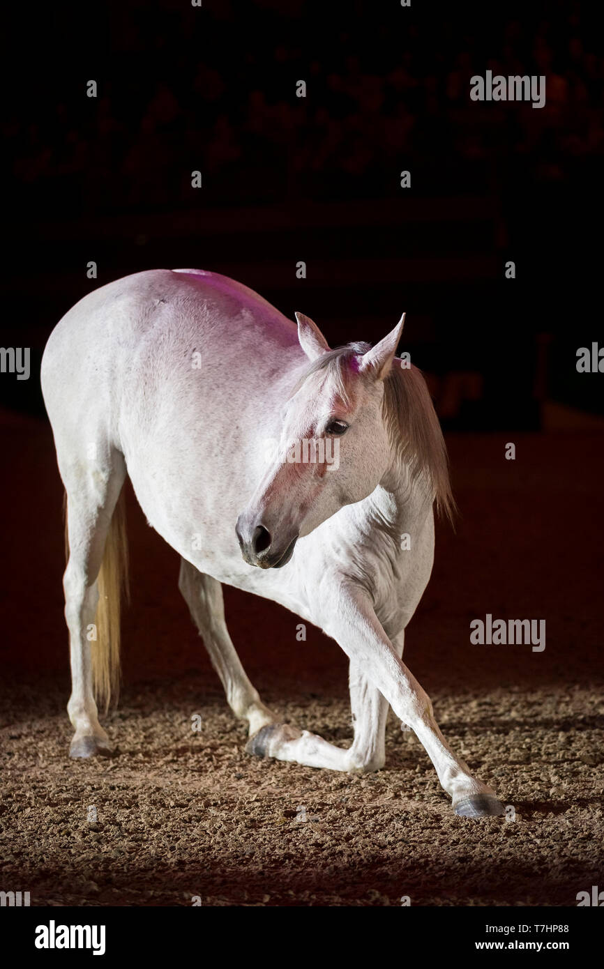 Durante il complimento immagini e fotografie stock ad alta risoluzione ...