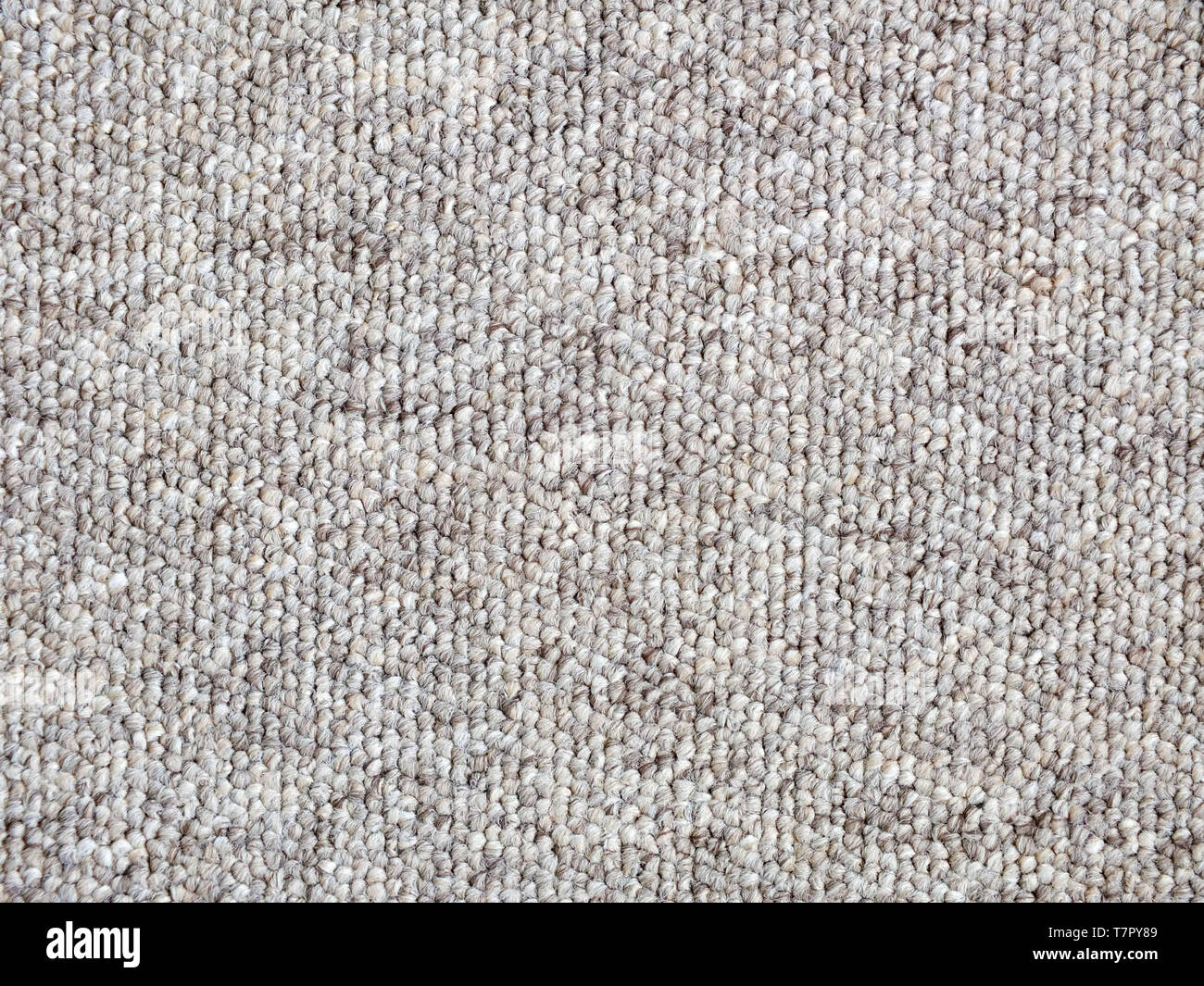 Carpet texture immagini e fotografie stock ad alta risoluzione - Alamy