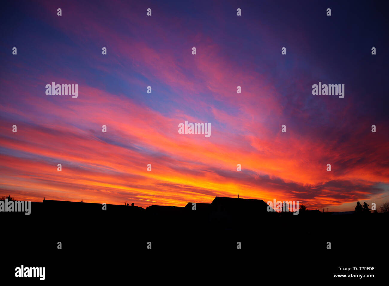 Foto ad alto contrasto immagini e fotografie stock ad alta risoluzione ...