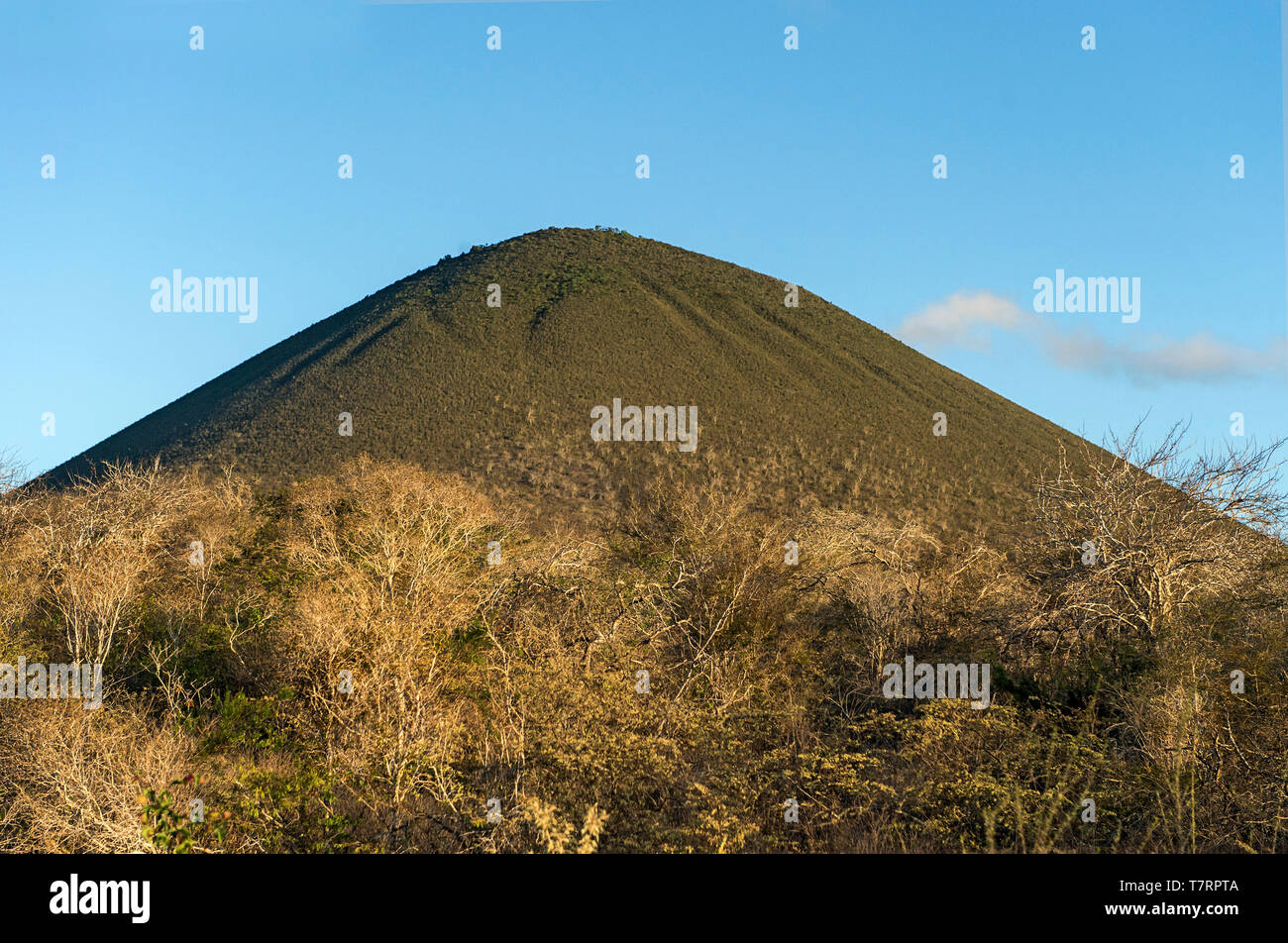 Isola di cono immagini e fotografie stock ad alta risoluzione - Alamy