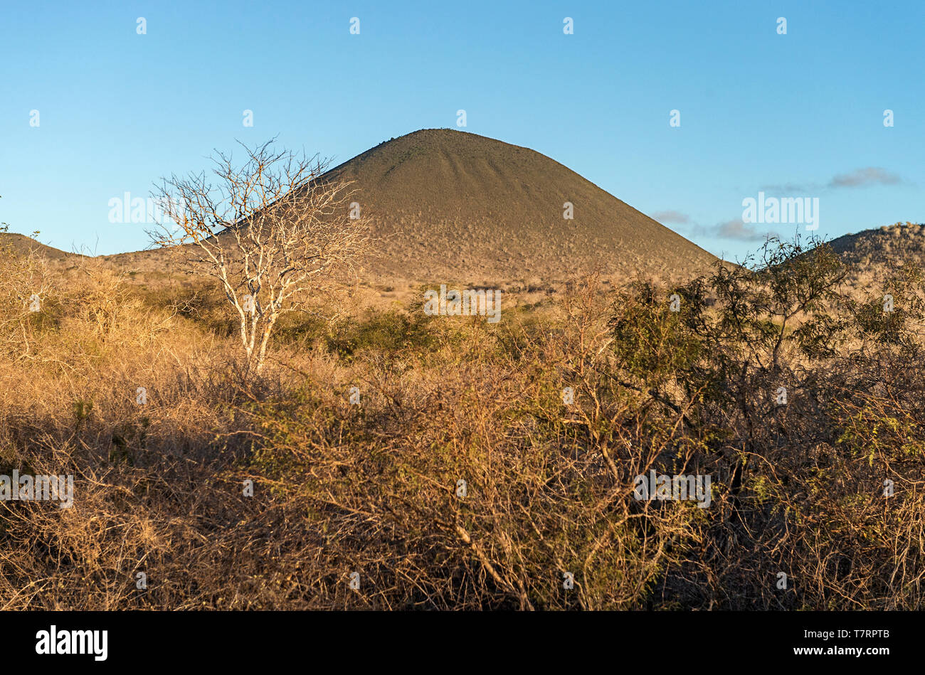 Isola di cono immagini e fotografie stock ad alta risoluzione - Alamy