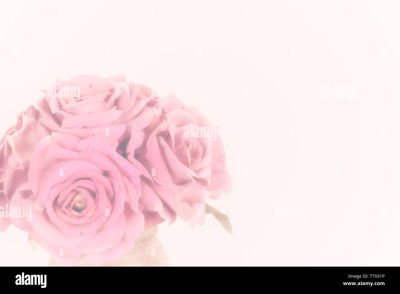 Sfondo rosa rosa immagini e fotografie stock ad alta risoluzione - Alamy