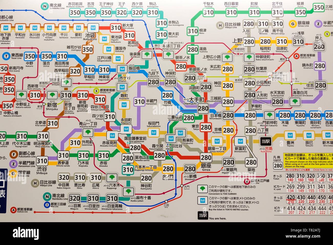 Giappone, isola di Honshu, Tokyo, quartiere Koto, Toyosu District, la ...