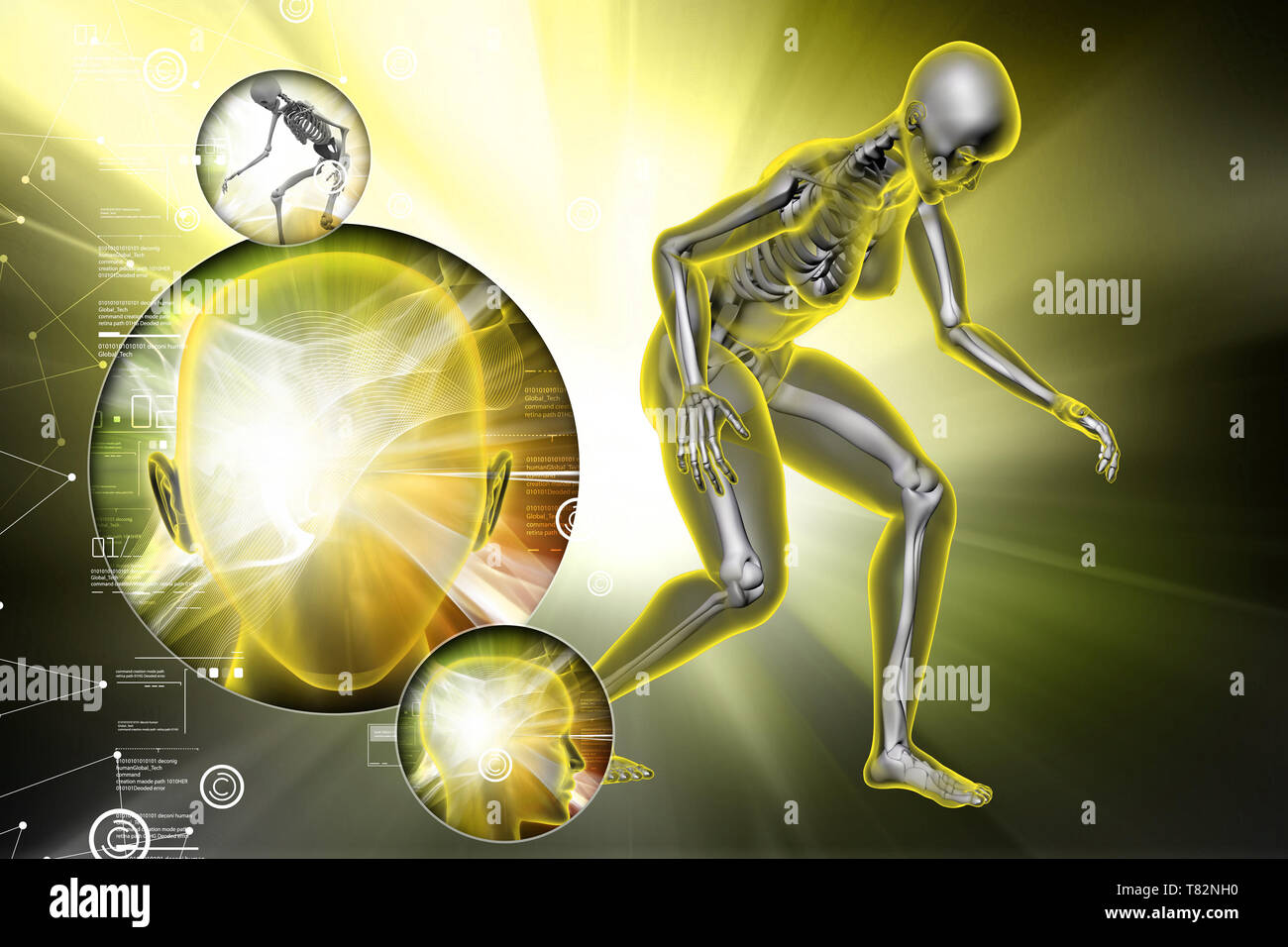 Sistema immunitario compromesso immagini e fotografie stock ad alta ...