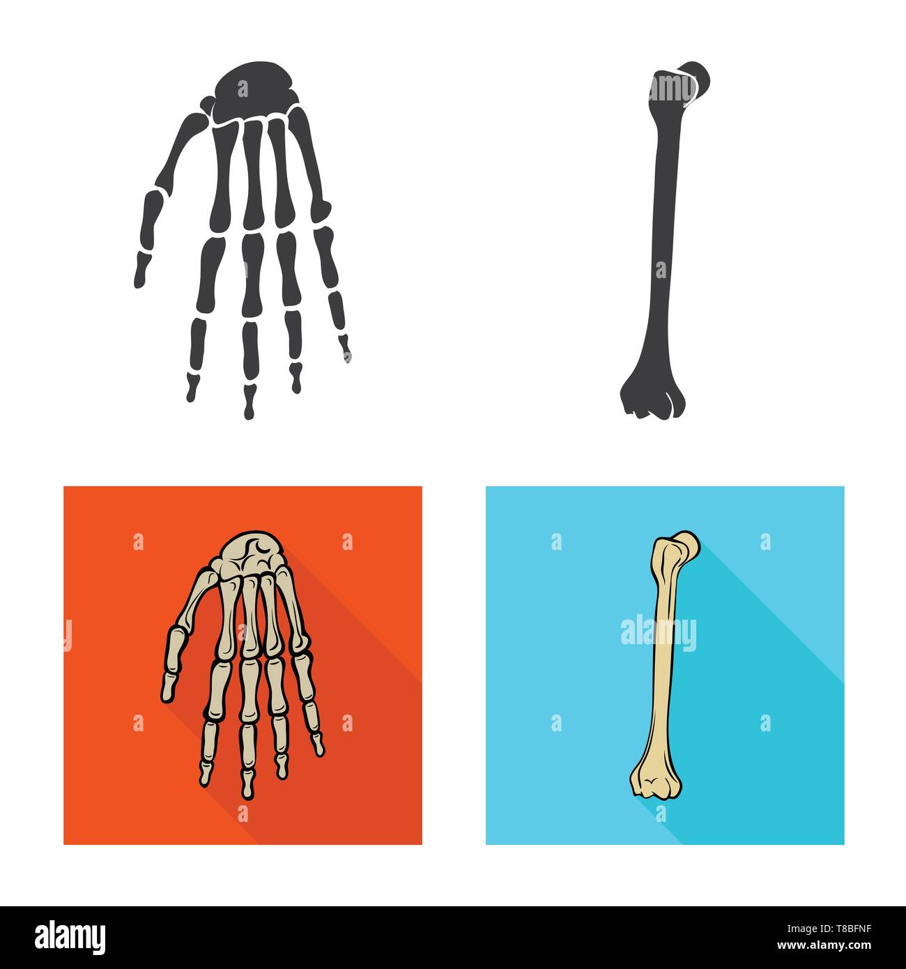 Polso,mano,rotto,calcio,fibula,struttura,shin,BRACCIO,tibia,carpo ...