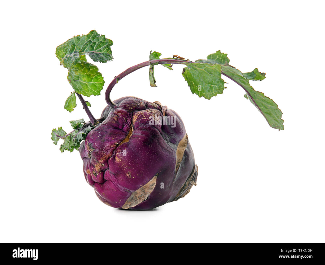 Ricetta di cavolo rapa Immagini senza sfondo e Foto Stock ritagliate ...