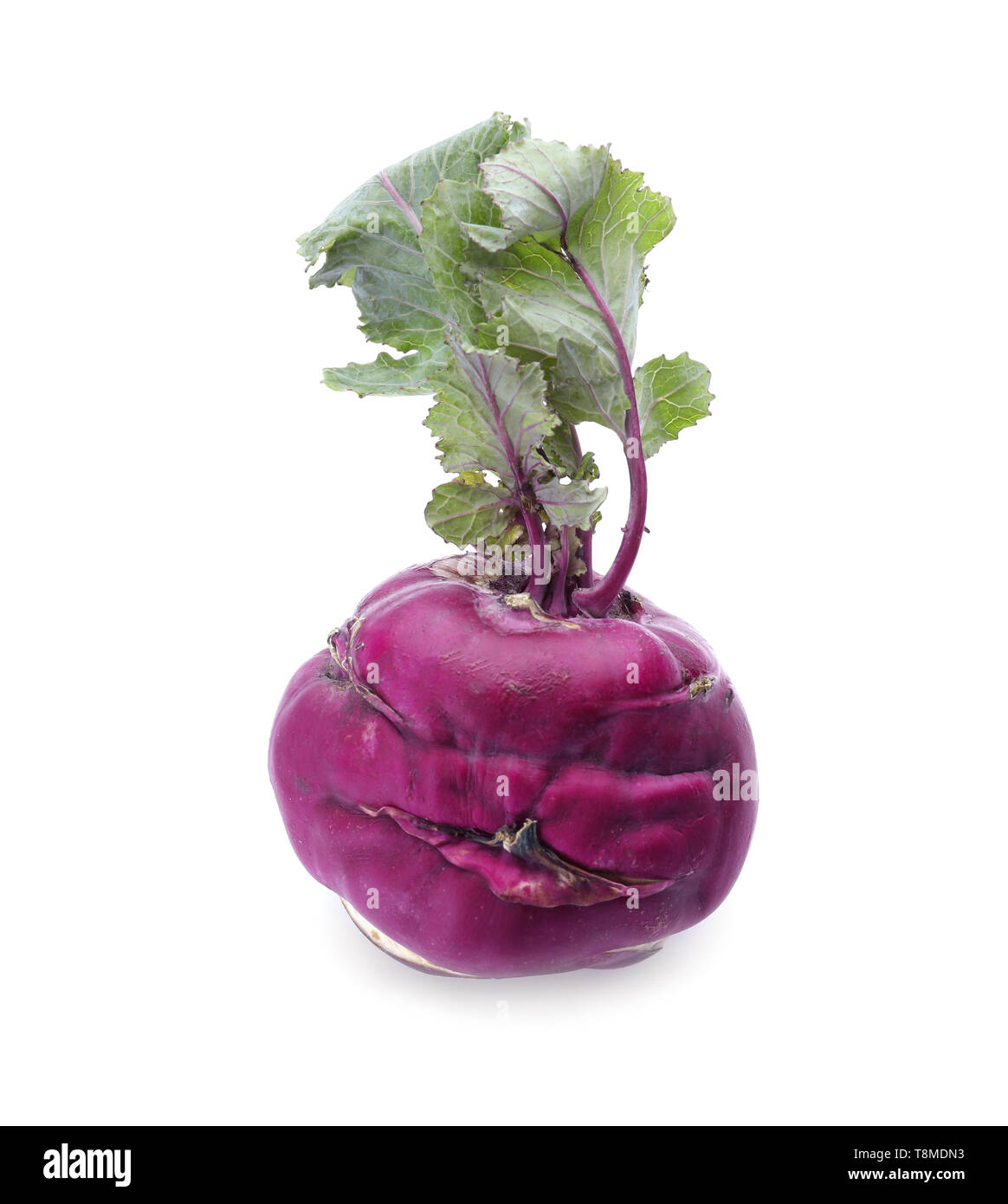 Ricetta di cavolo rapa Immagini senza sfondo e Foto Stock ritagliate ...