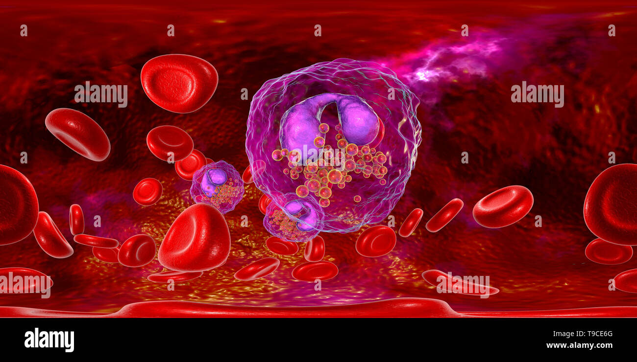 Striscio di sangue microscopico immagini e fotografie stock ad alta ...