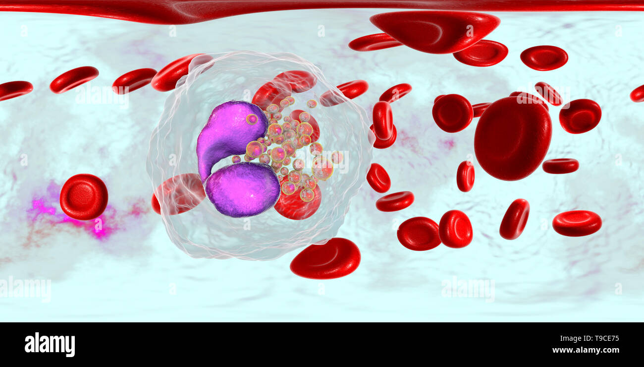 Striscio di sangue microscopico immagini e fotografie stock ad alta ...