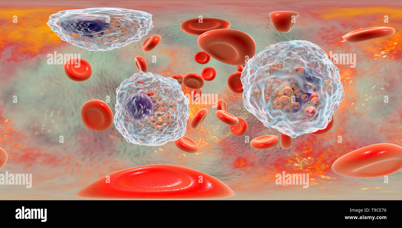 Striscio di sangue microscopico immagini e fotografie stock ad alta ...