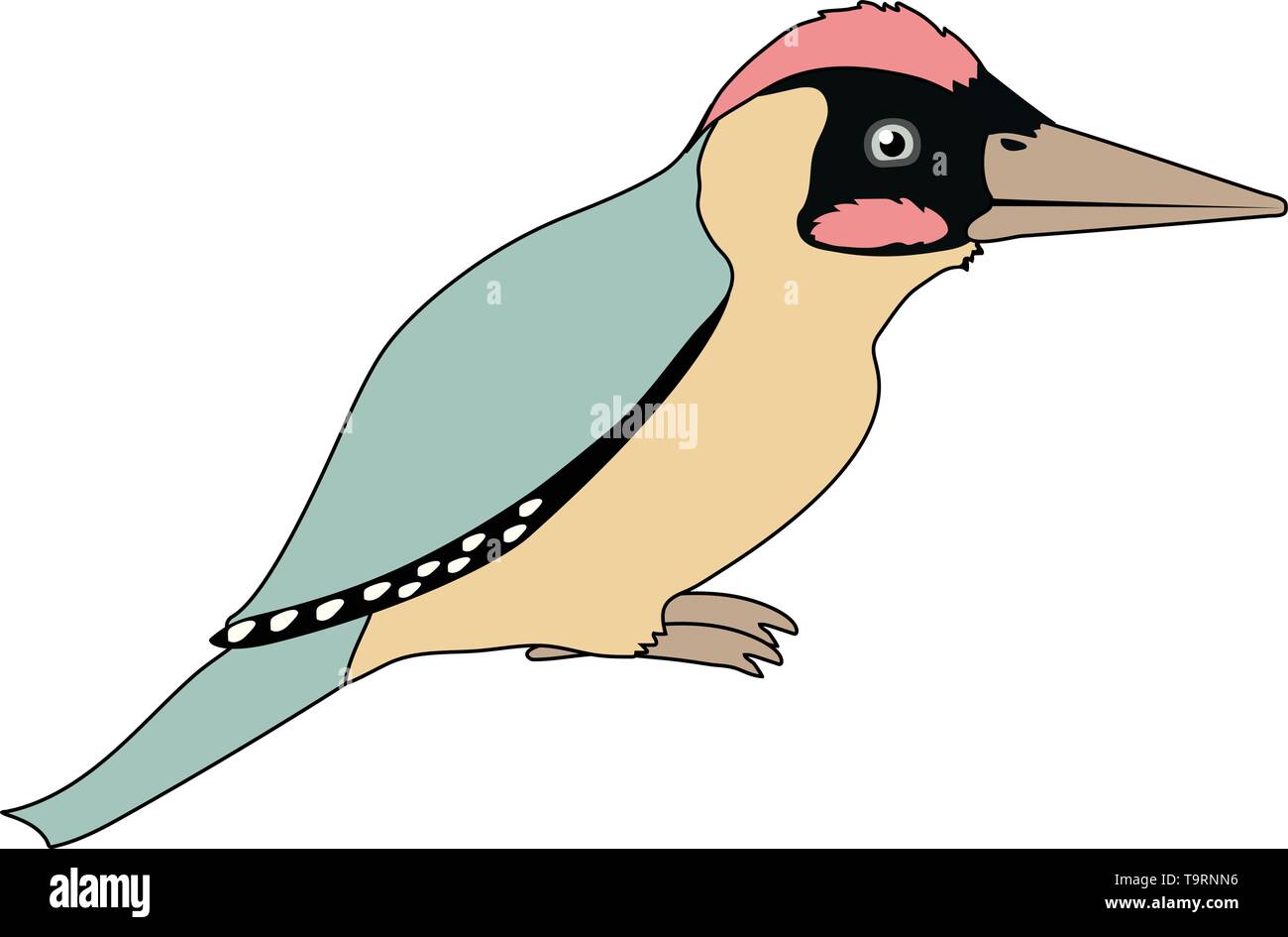 Picchio verde eurasiatico Immagini Vettoriali Stock - Alamy