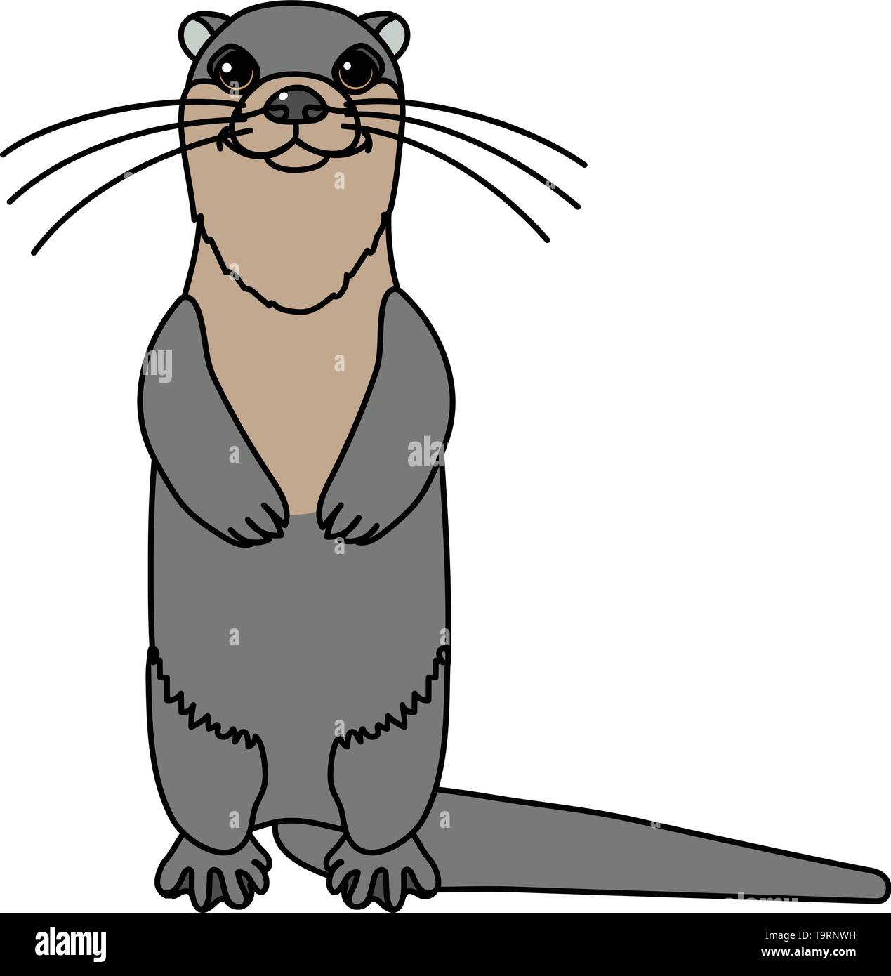 Lontra divertente disegno immagini e fotografie stock ad alta ...