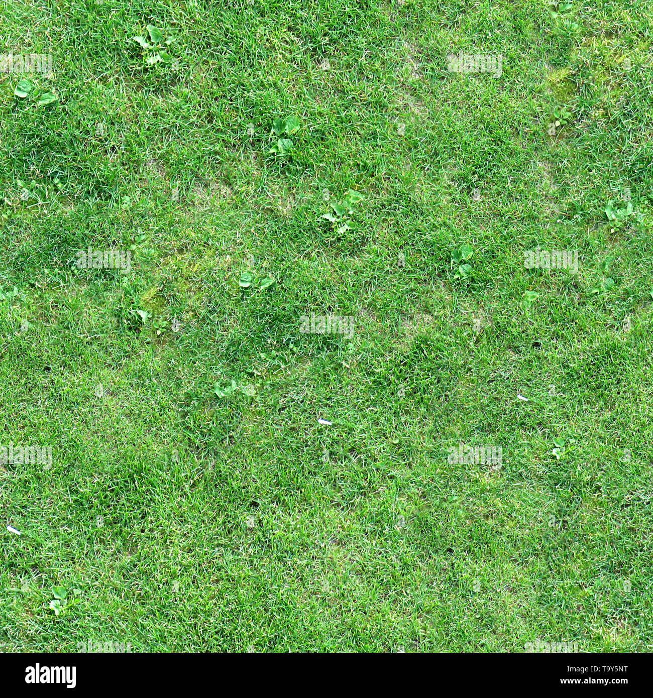 Grass seamless texture immagini e fotografie stock ad alta risoluzione ...