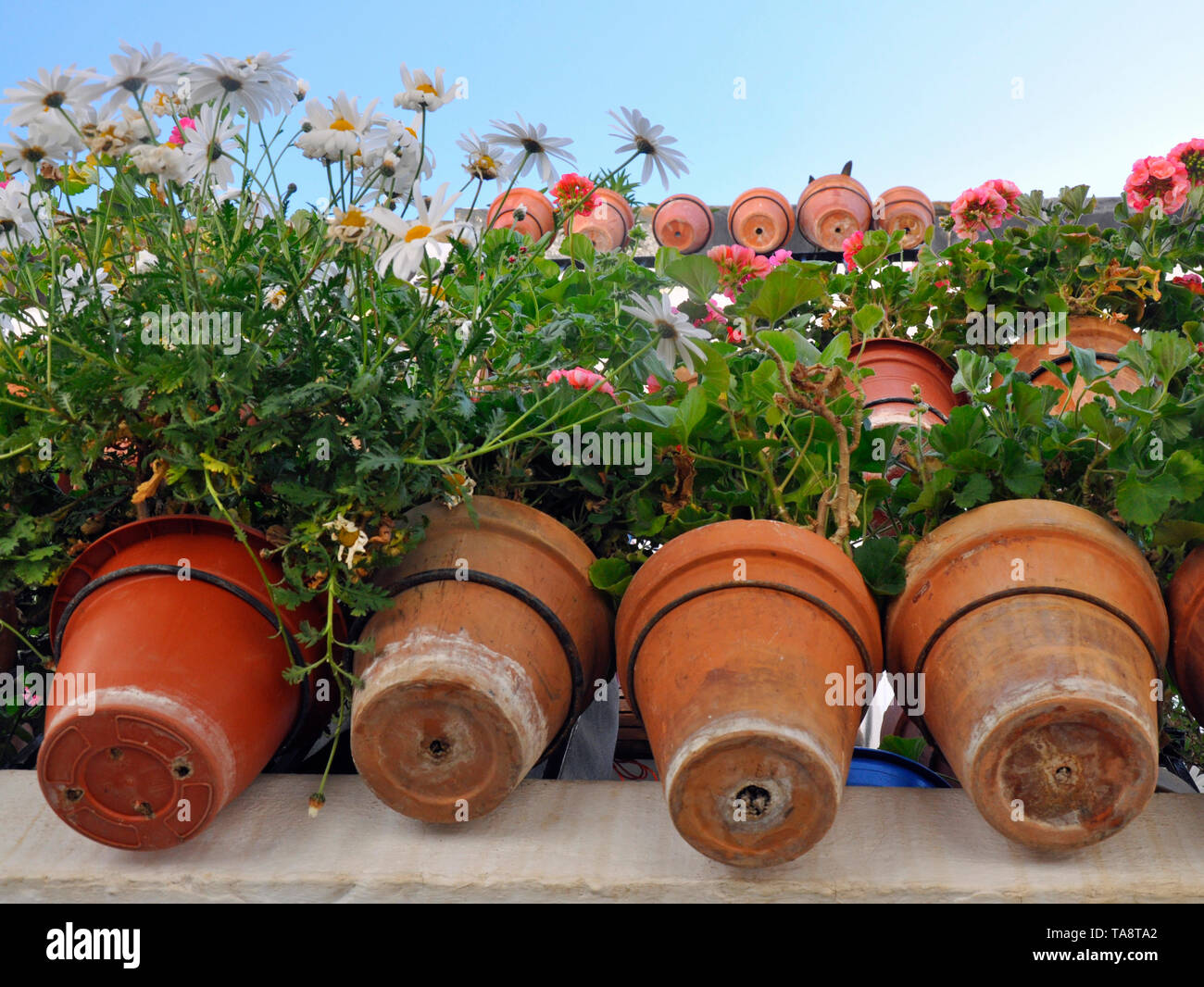 Vasi di fiori appesi al balcone di una casa del villaggio di Capileira ...