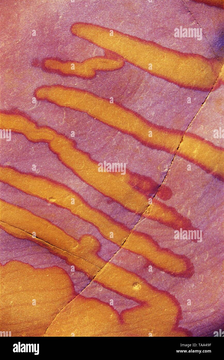 Colpi di pennello immagini e fotografie stock ad alta risoluzione - Alamy