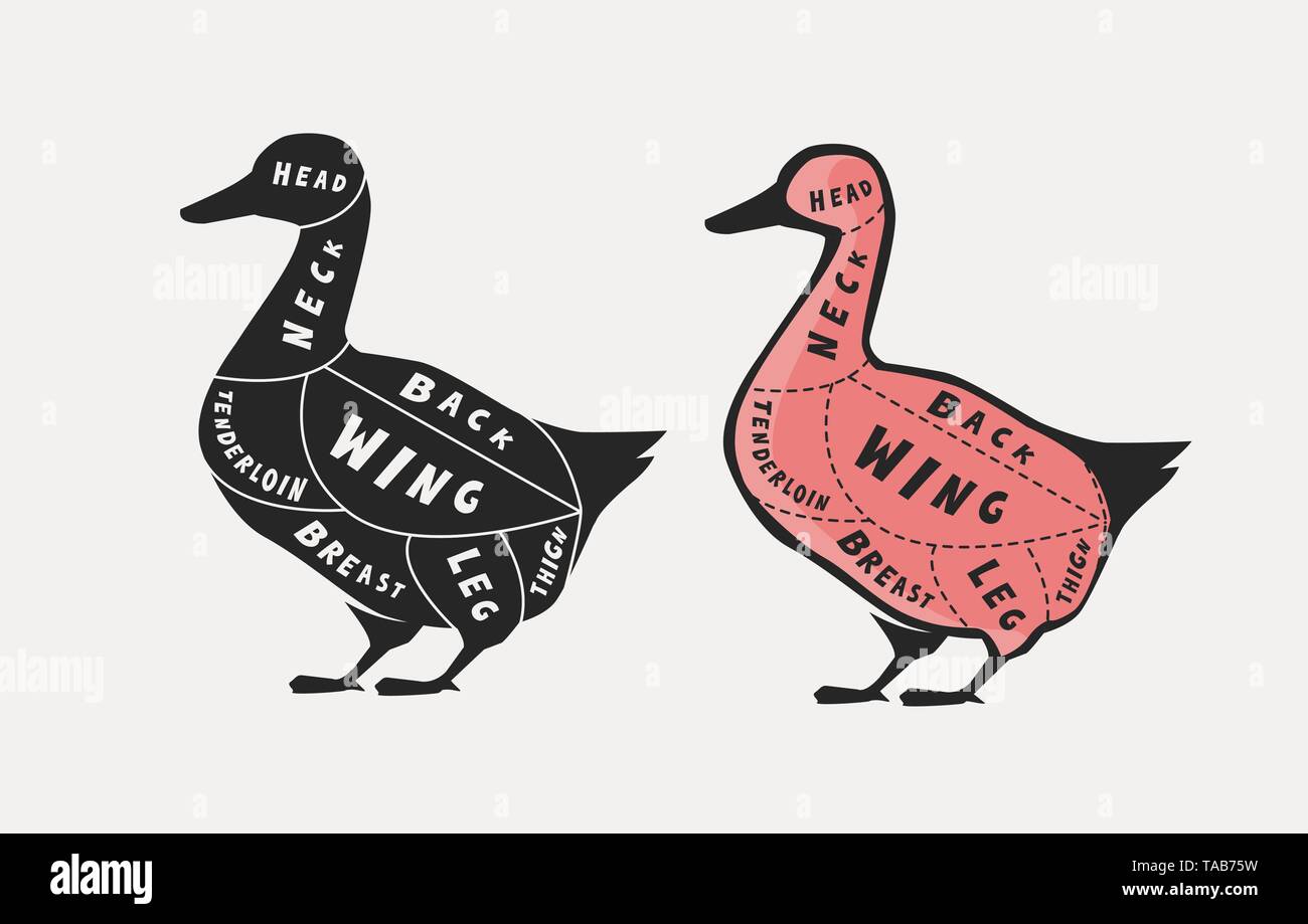 Guida vettori vettoriali immagini e fotografie stock ad alta ...