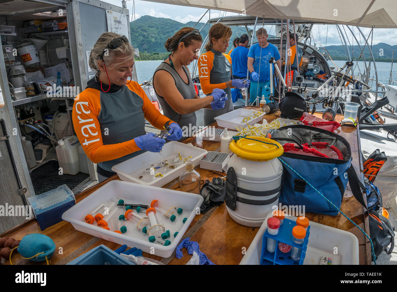 Studentessa della papua nuova guinea Immagini e Fotos Stock - Alamy