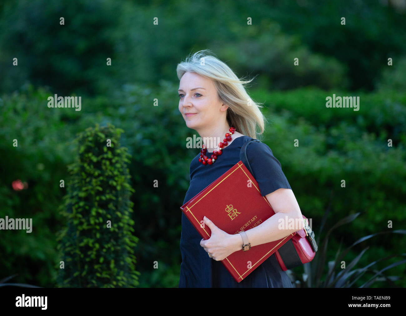 Elizabeth truss immagini e fotografie stock ad alta risoluzione - Alamy