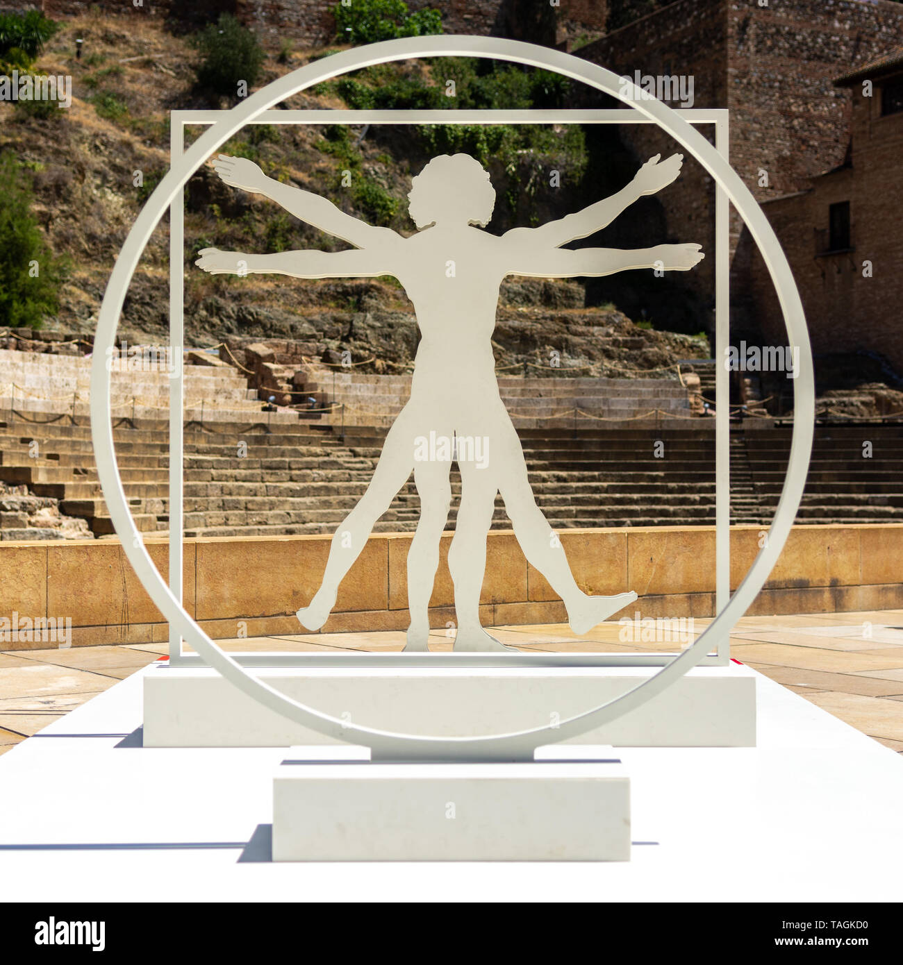 Vitruvian man leonardo da vinci immagini e fotografie stock ad alta ...
