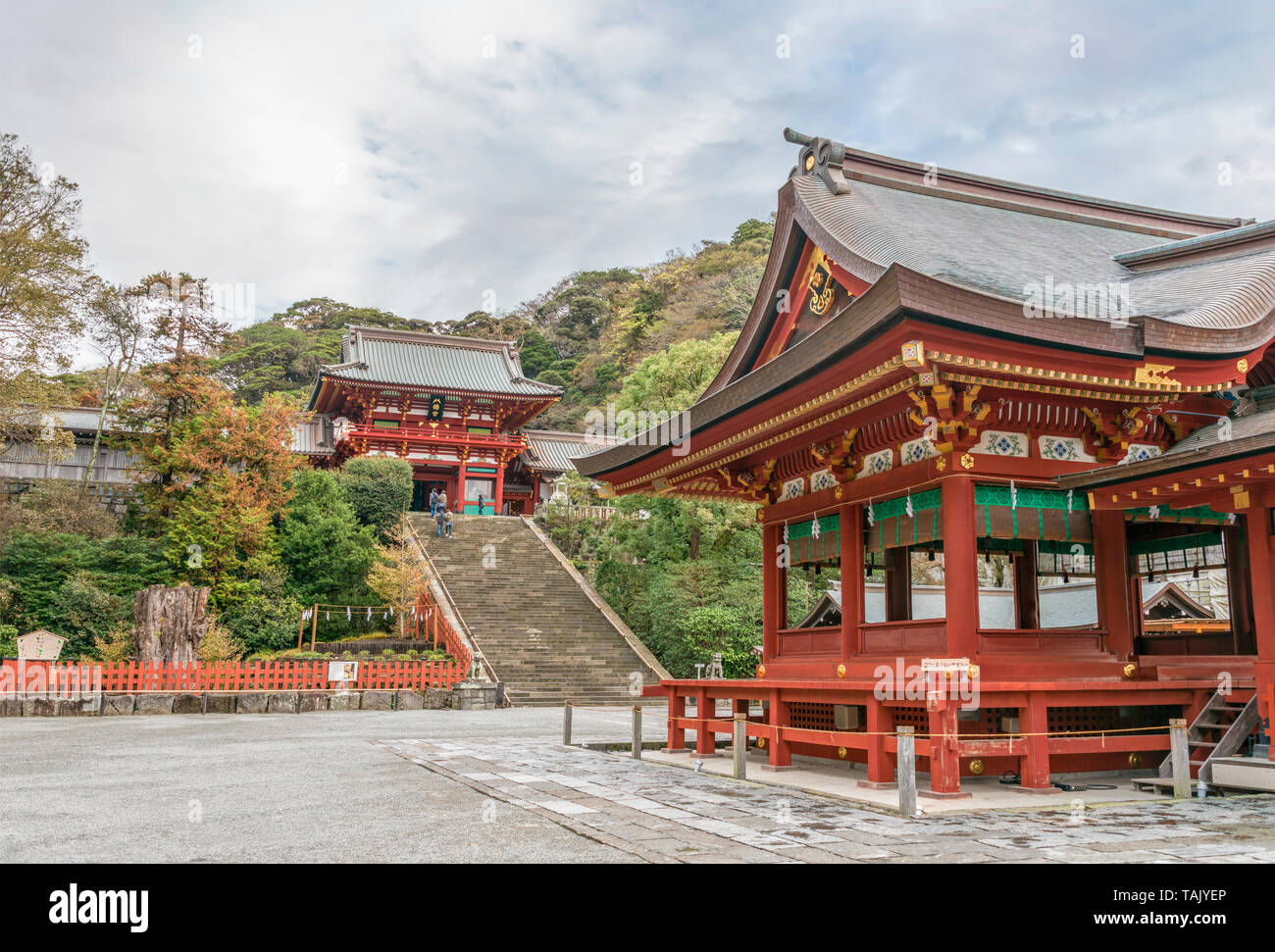 Santuario tsurugaoka hachimangu immagini e fotografie stock ad alta ...