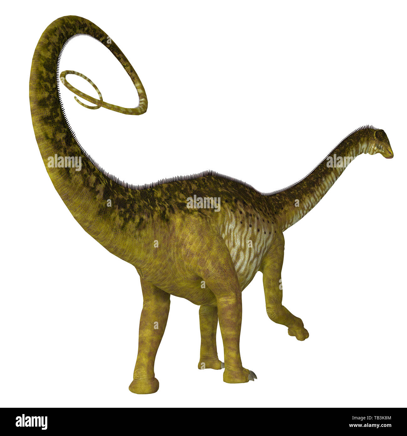 Nigersaurus taqueti immagini e fotografie stock ad alta risoluzione - Alamy