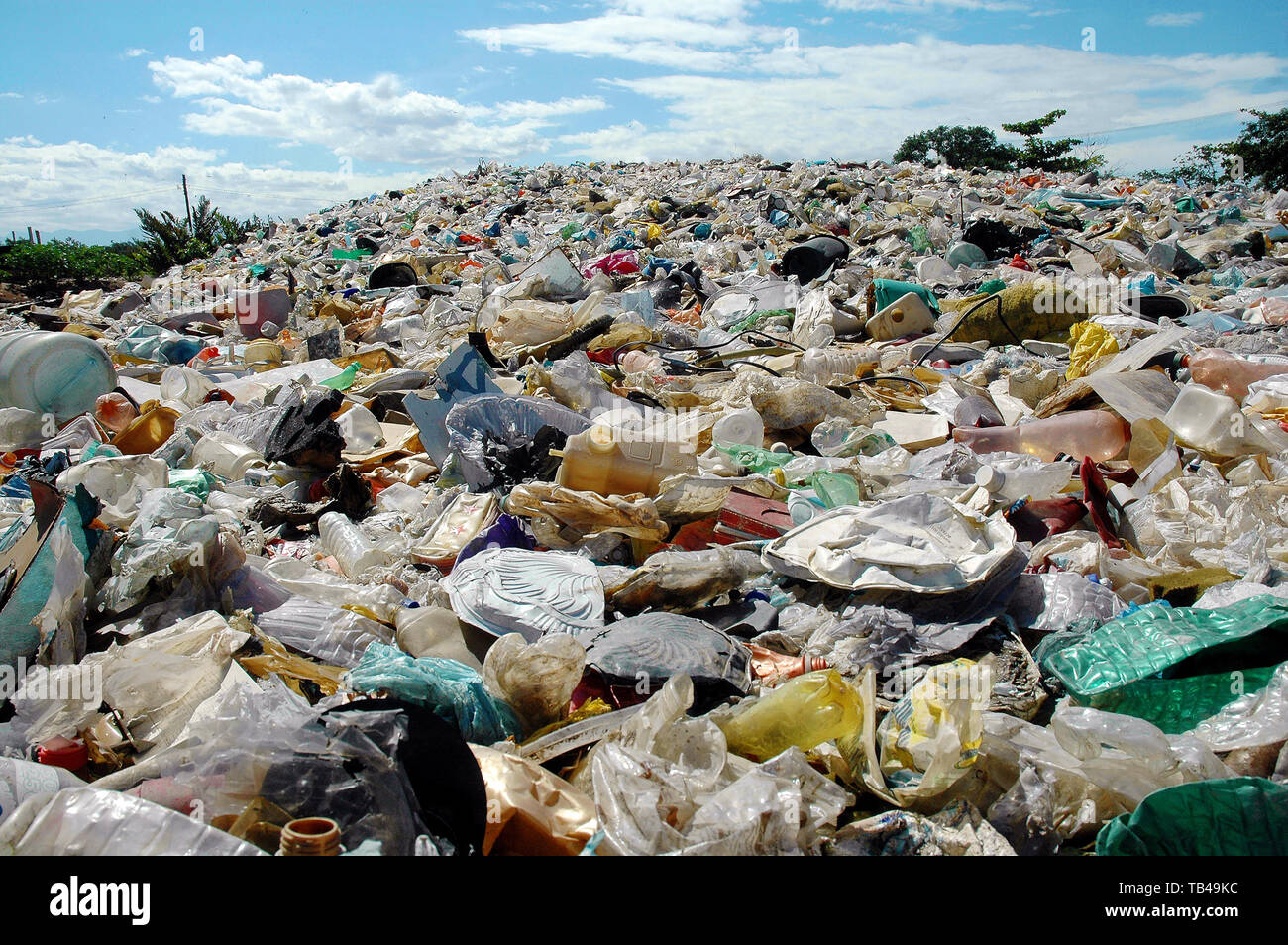 Jardim gramacho immagini e fotografie stock ad alta risoluzione - Alamy