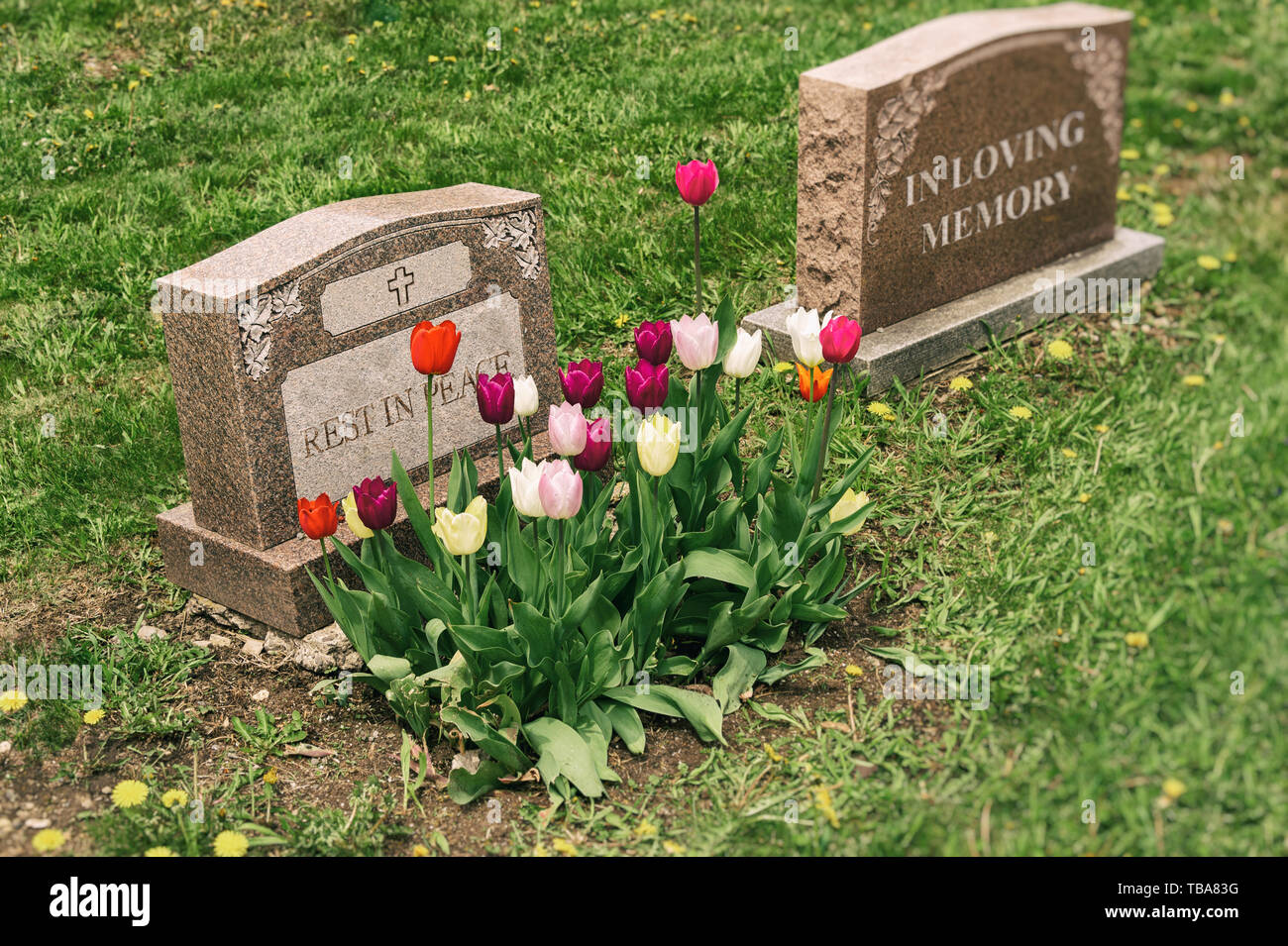 Lapidi lapidi immagini e fotografie stock ad alta risoluzione - Alamy