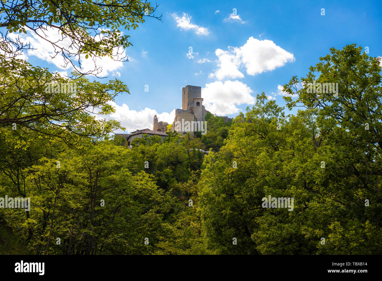 Castello dei carpineti immagini e fotografie stock ad alta risoluzione ...