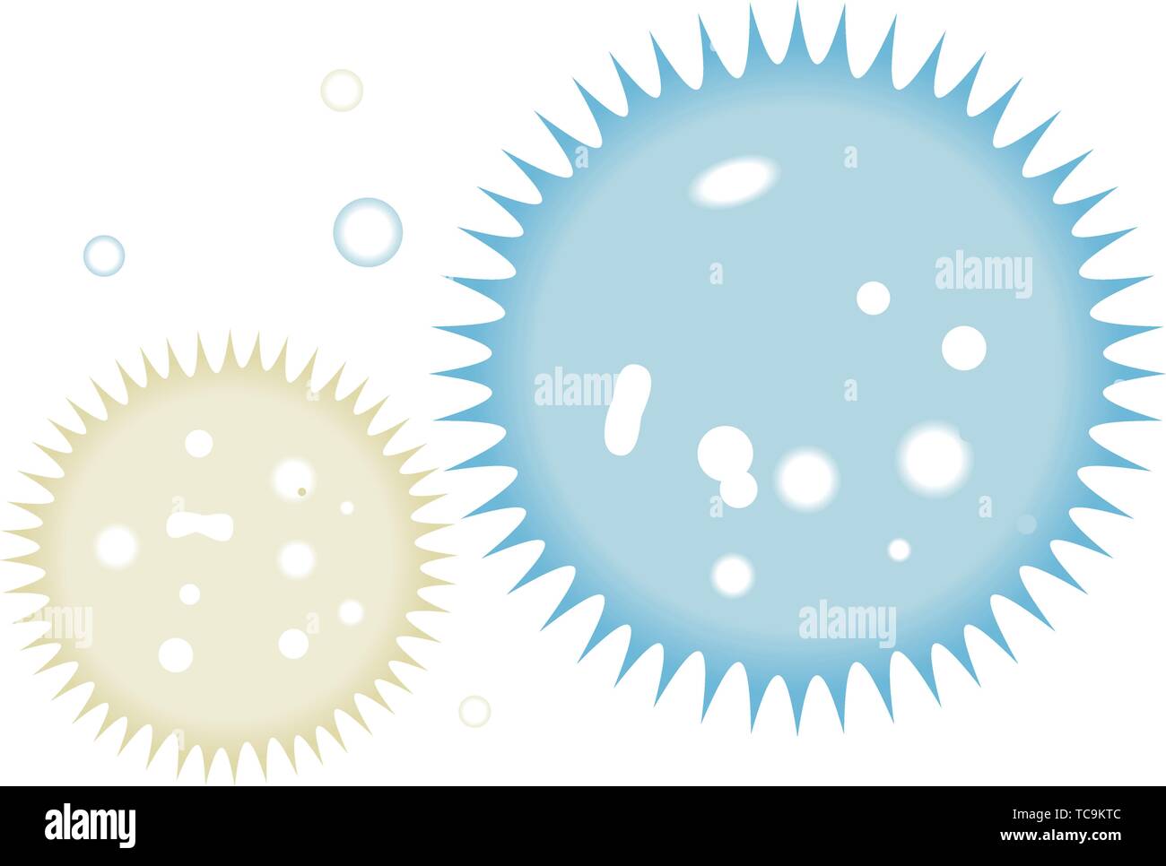 Cellule germinali immagini e fotografie stock ad alta risoluzione - Alamy