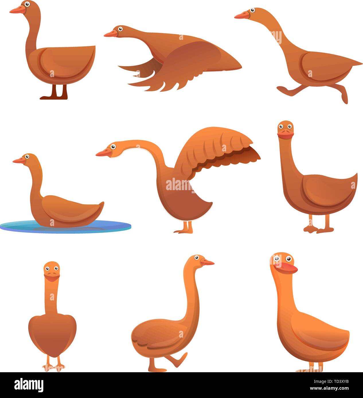 Oca del canada Immagini Vettoriali Stock - Alamy