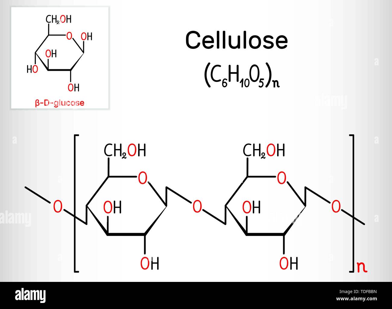 Fibra di cellulosa immagini e fotografie stock ad alta risoluzione - Alamy