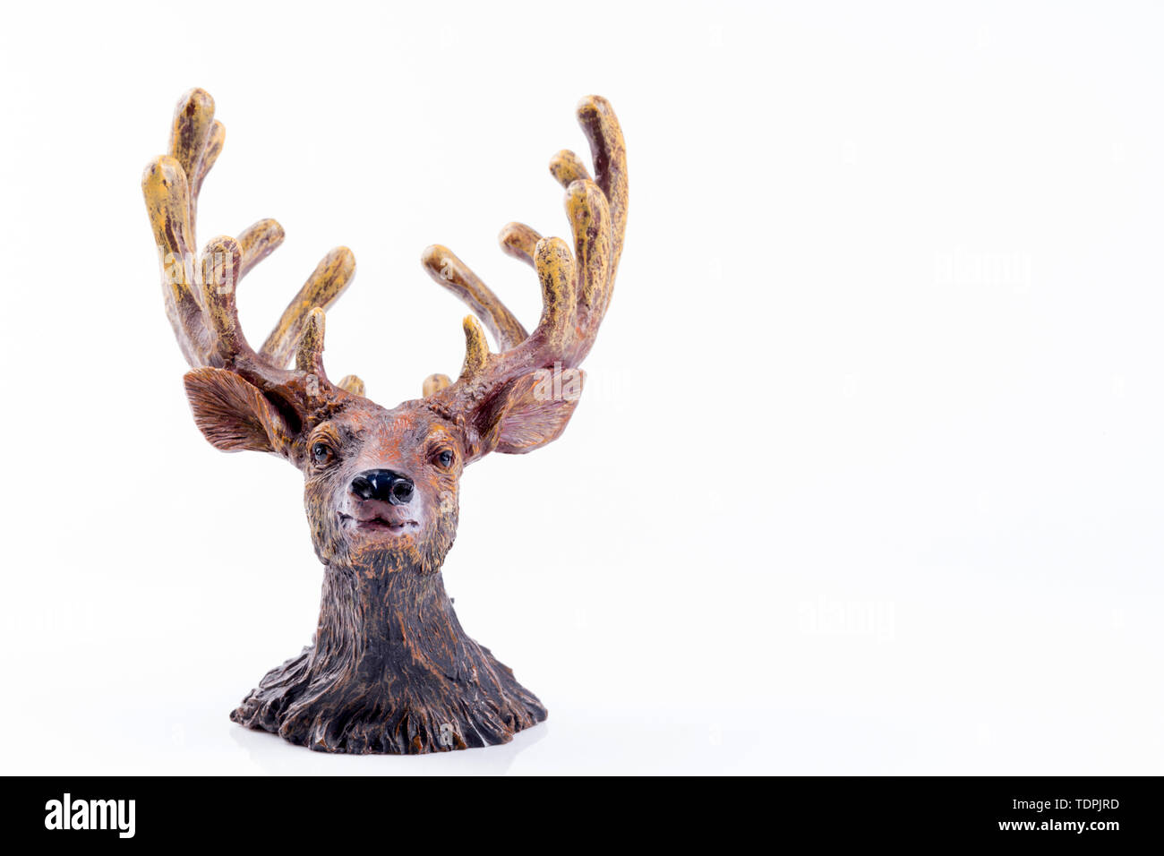 Zoccolo di cervo Immagini senza sfondo e Foto Stock ritagliate - Alamy