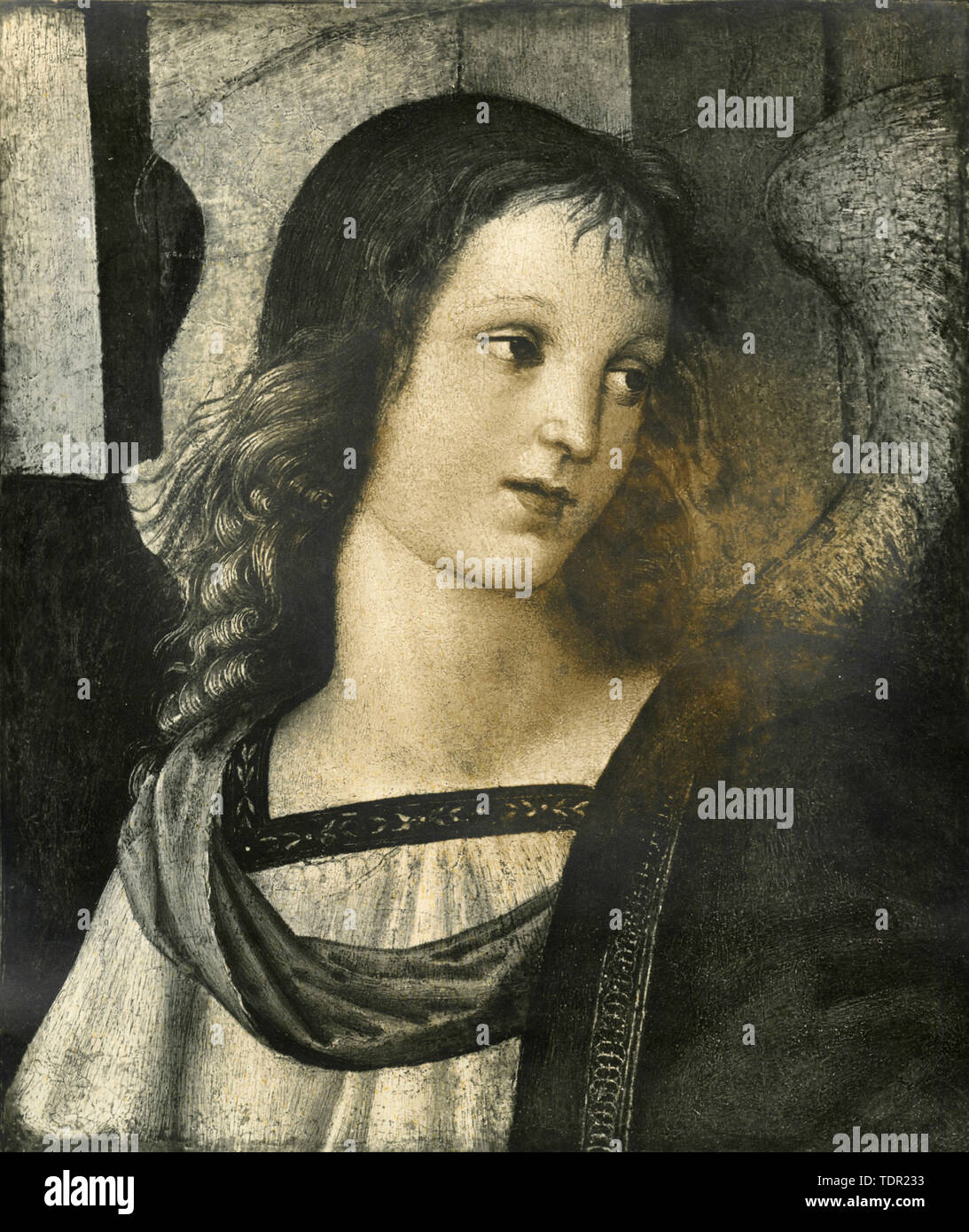 Angelo raphael immagini e fotografie stock ad alta risoluzione - Alamy