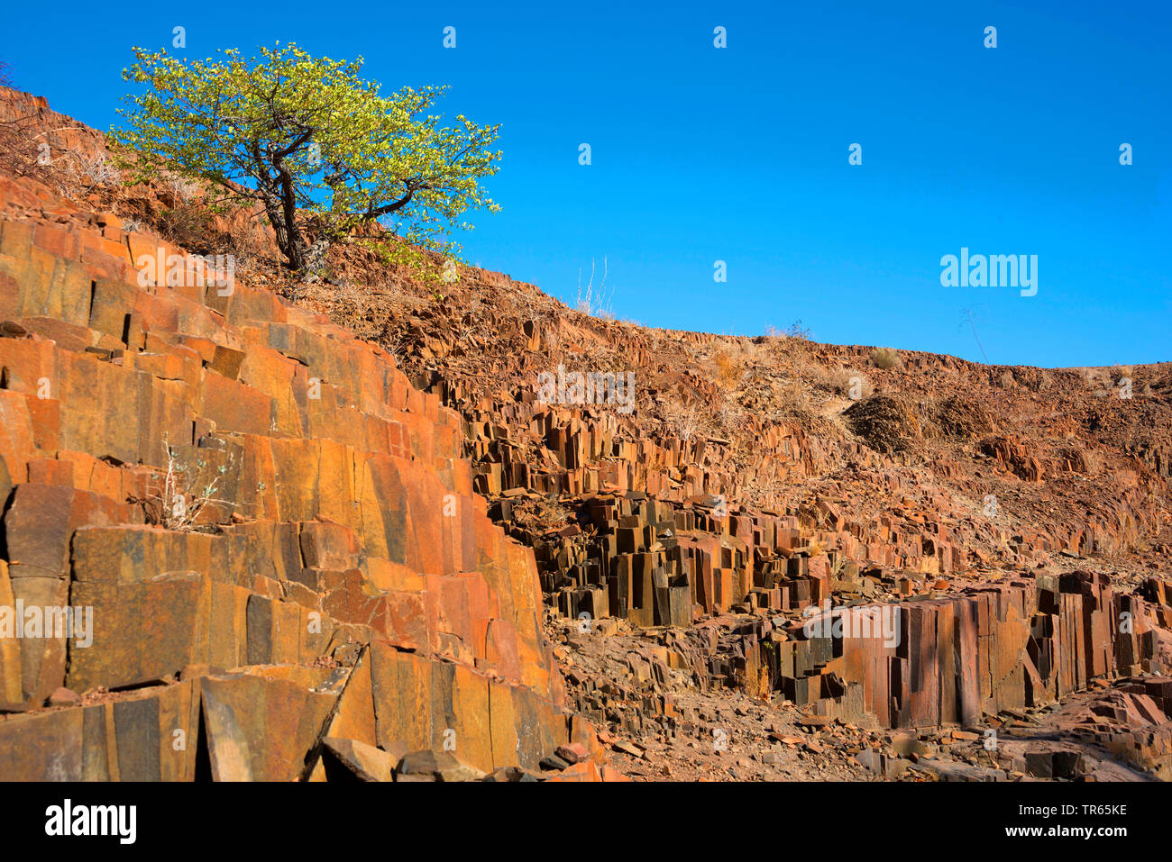 Colonne basaltiche colonnari immagini e fotografie stock ad alta ...