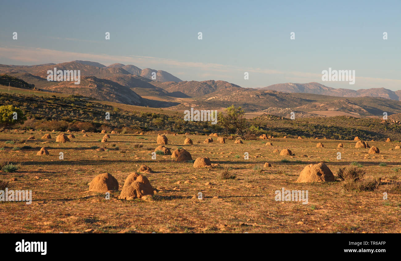 Parco nazionale di namaqua immagini e fotografie stock ad alta ...