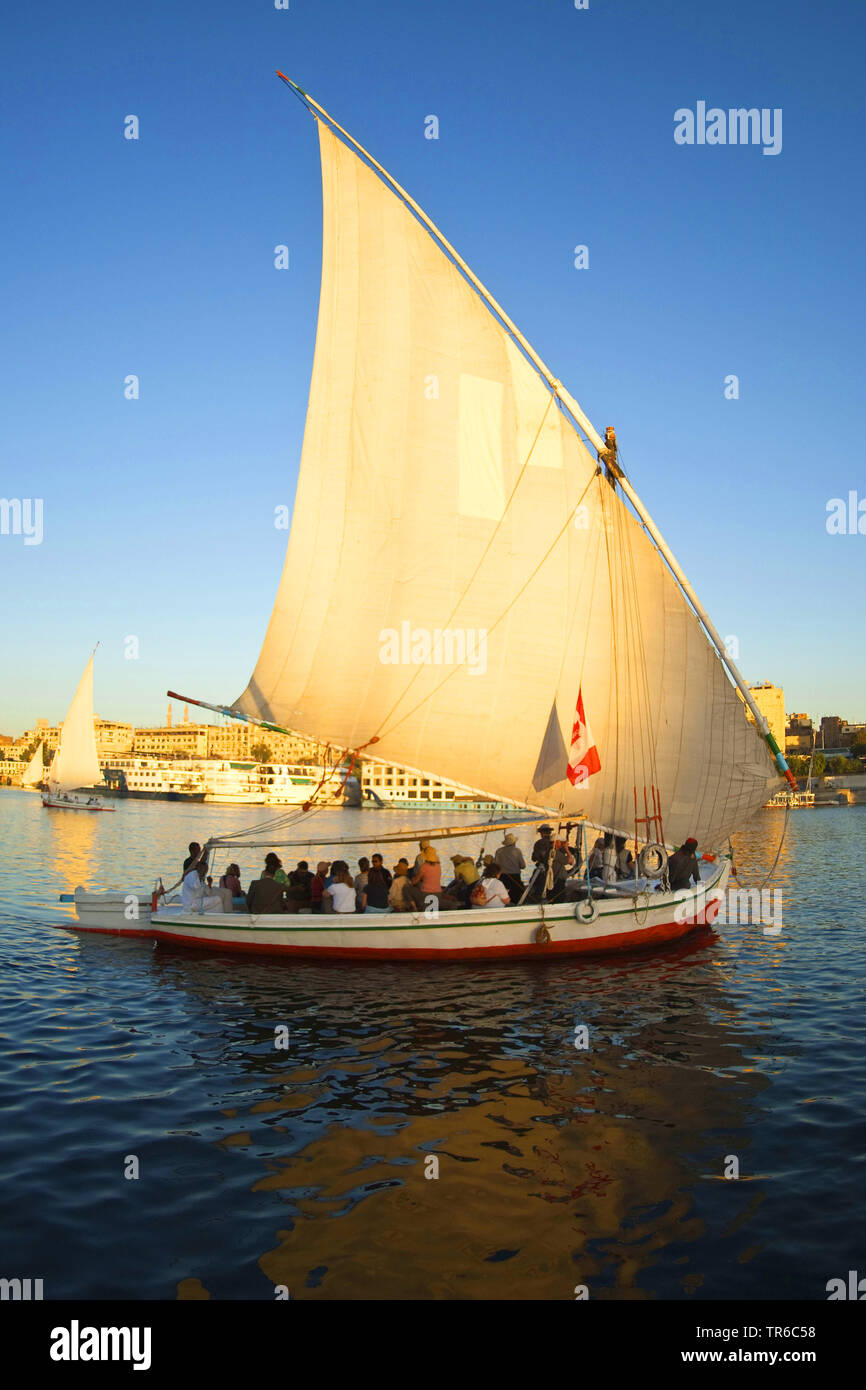 Barche a vela felucca sul fiume nilo immagini e fotografie stock ad ...
