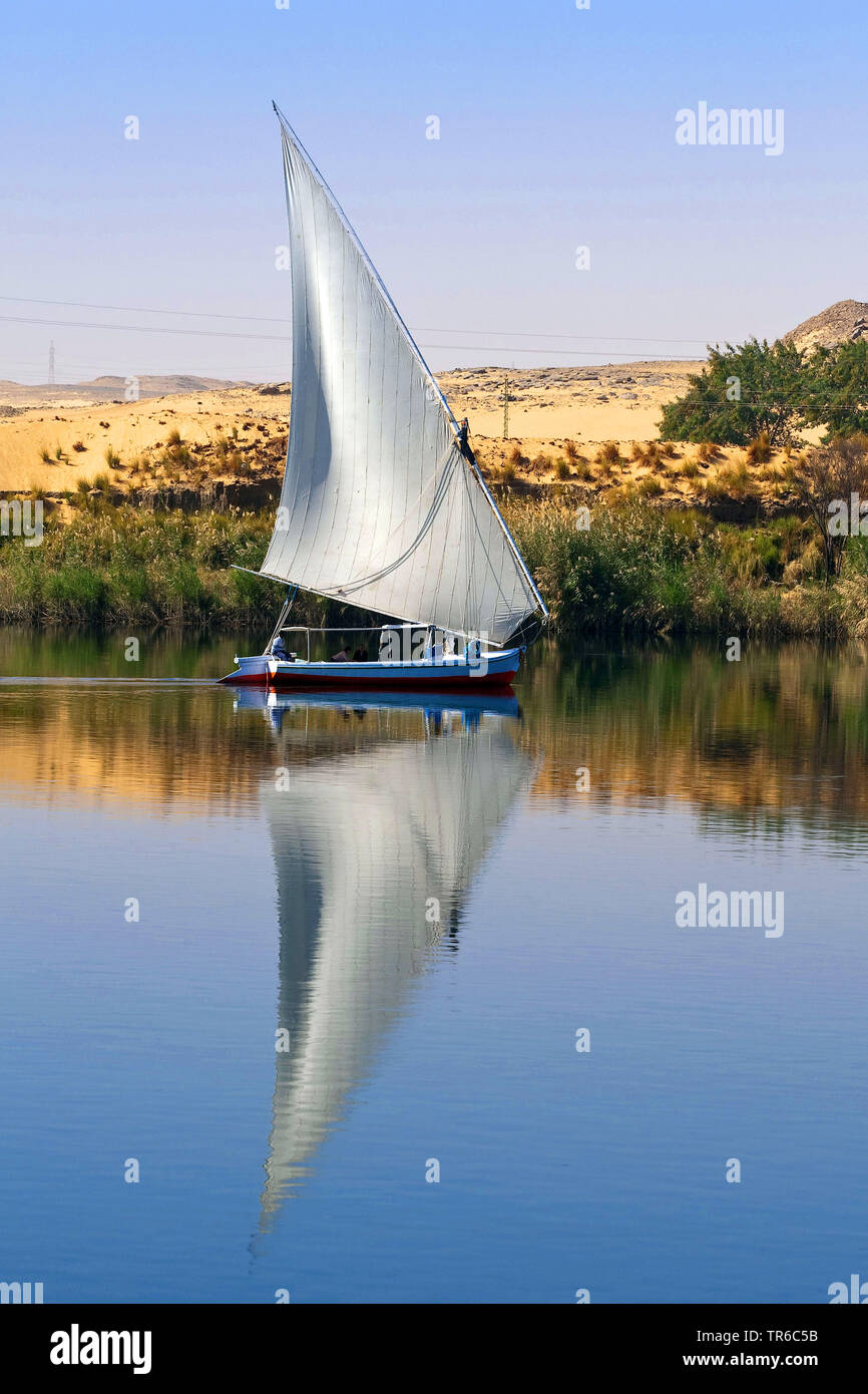 Barche a vela felucca sul fiume nilo immagini e fotografie stock ad ...