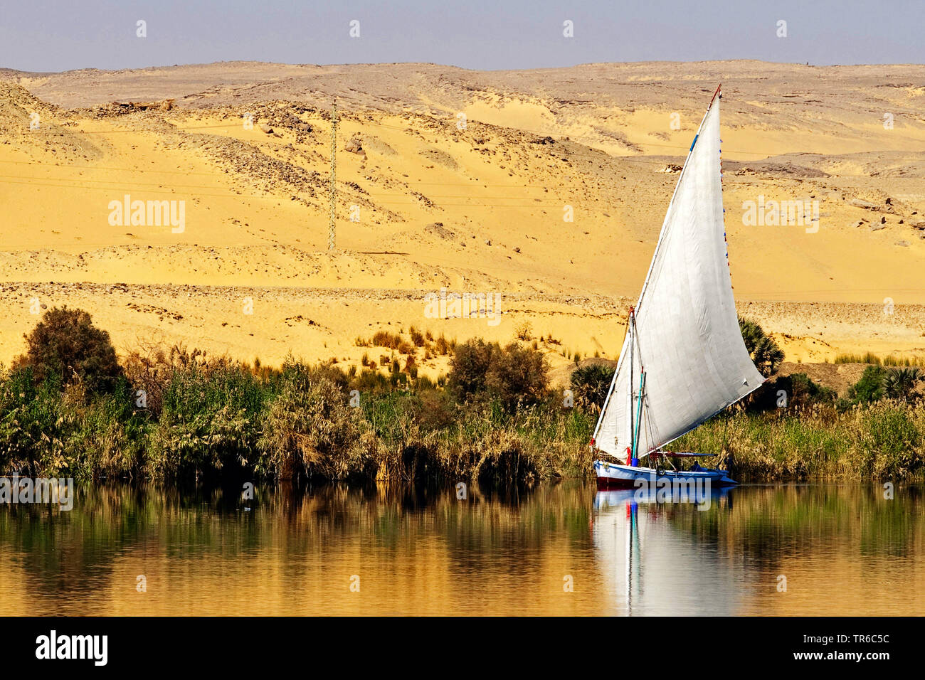 Barche a vela felucca sul fiume nilo immagini e fotografie stock ad ...