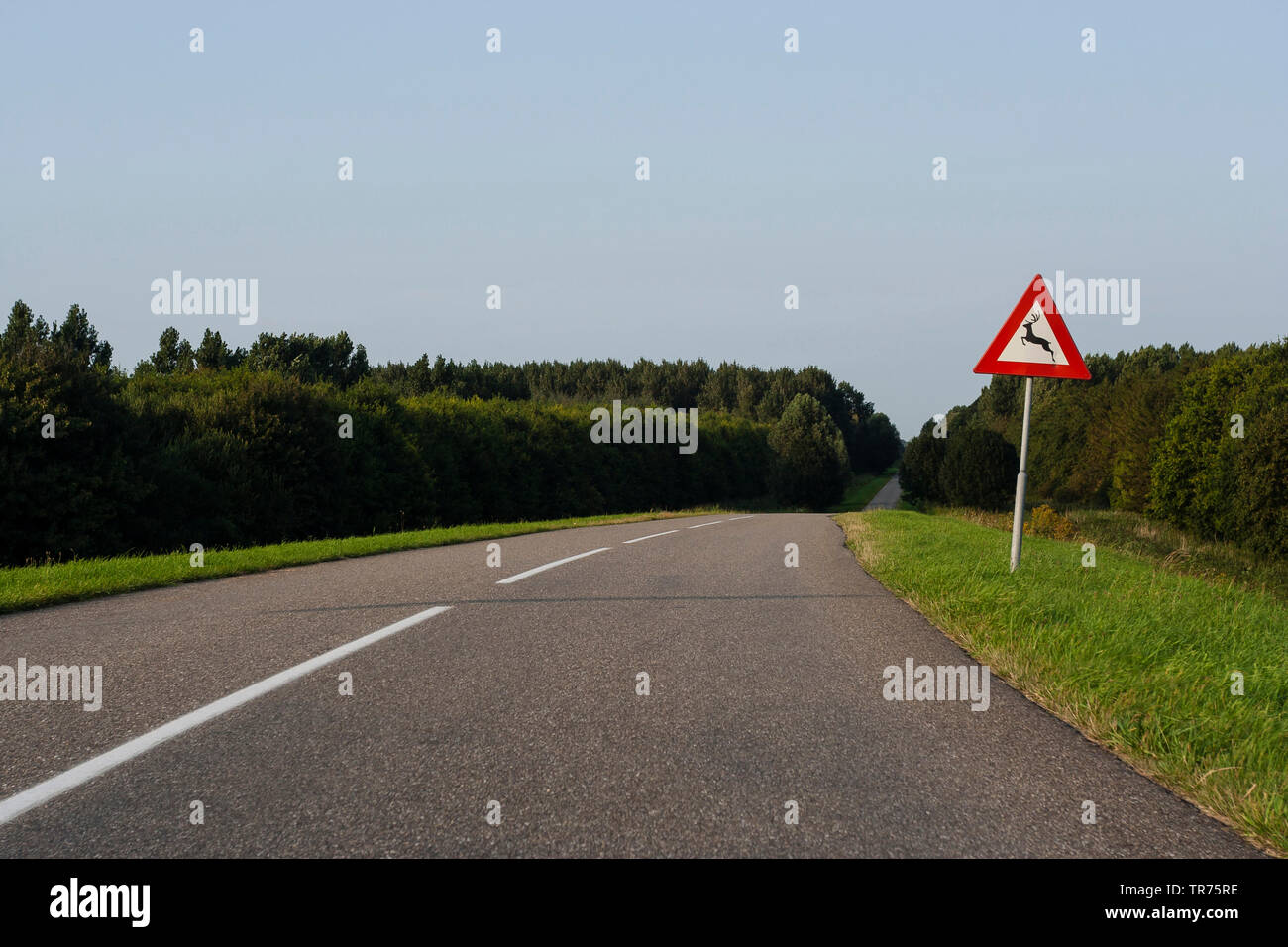 Cartello Stradale Di Attraversamento Dei Cervi Immagini E Fotografie