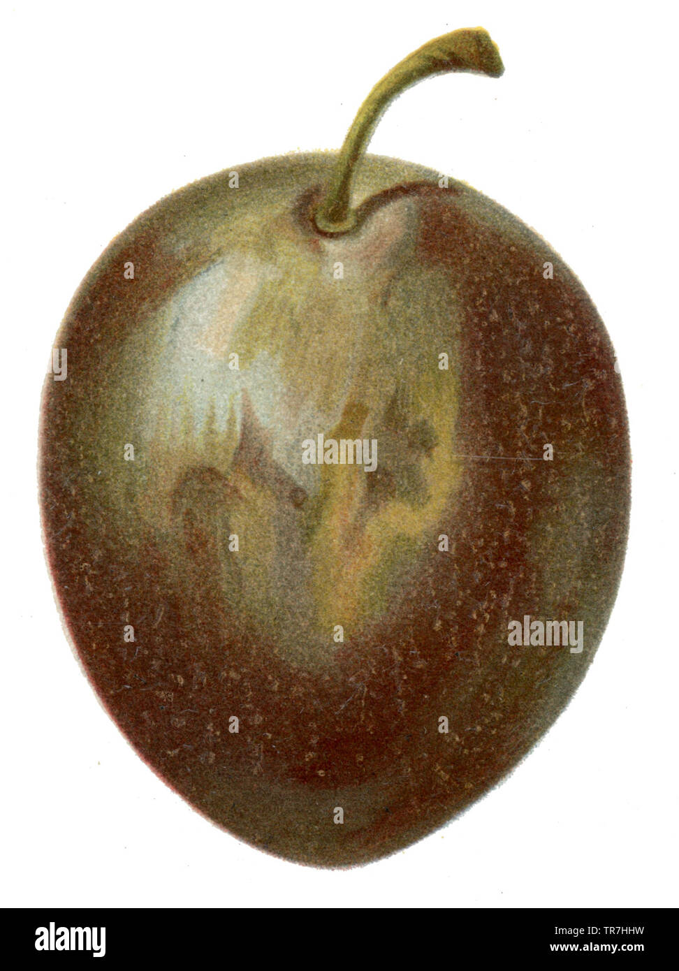 Anna spath immagini e fotografie stock ad alta risoluzione - Alamy