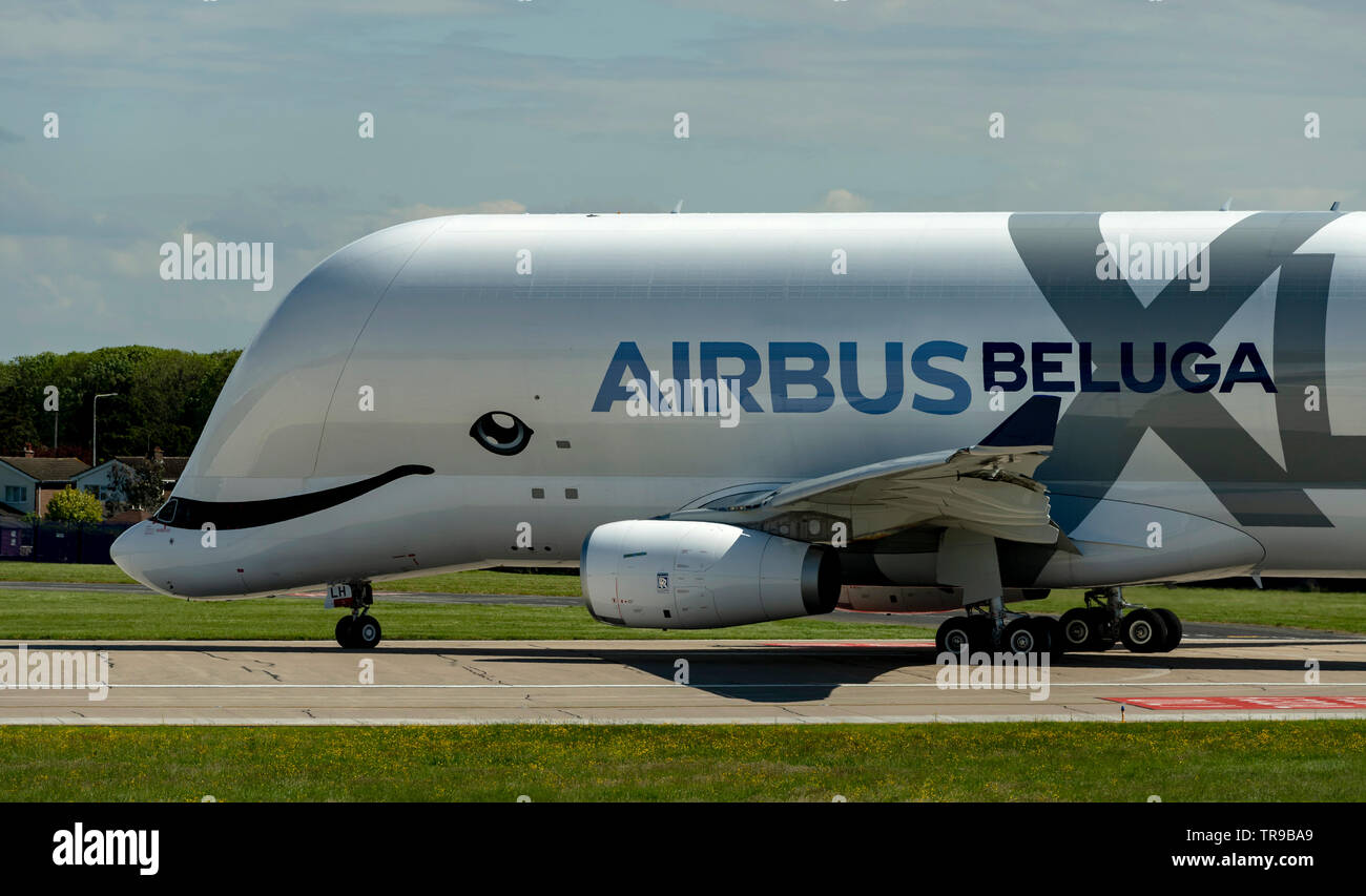 Airbus a330 beluga immagini e fotografie stock ad alta risoluzione - Alamy