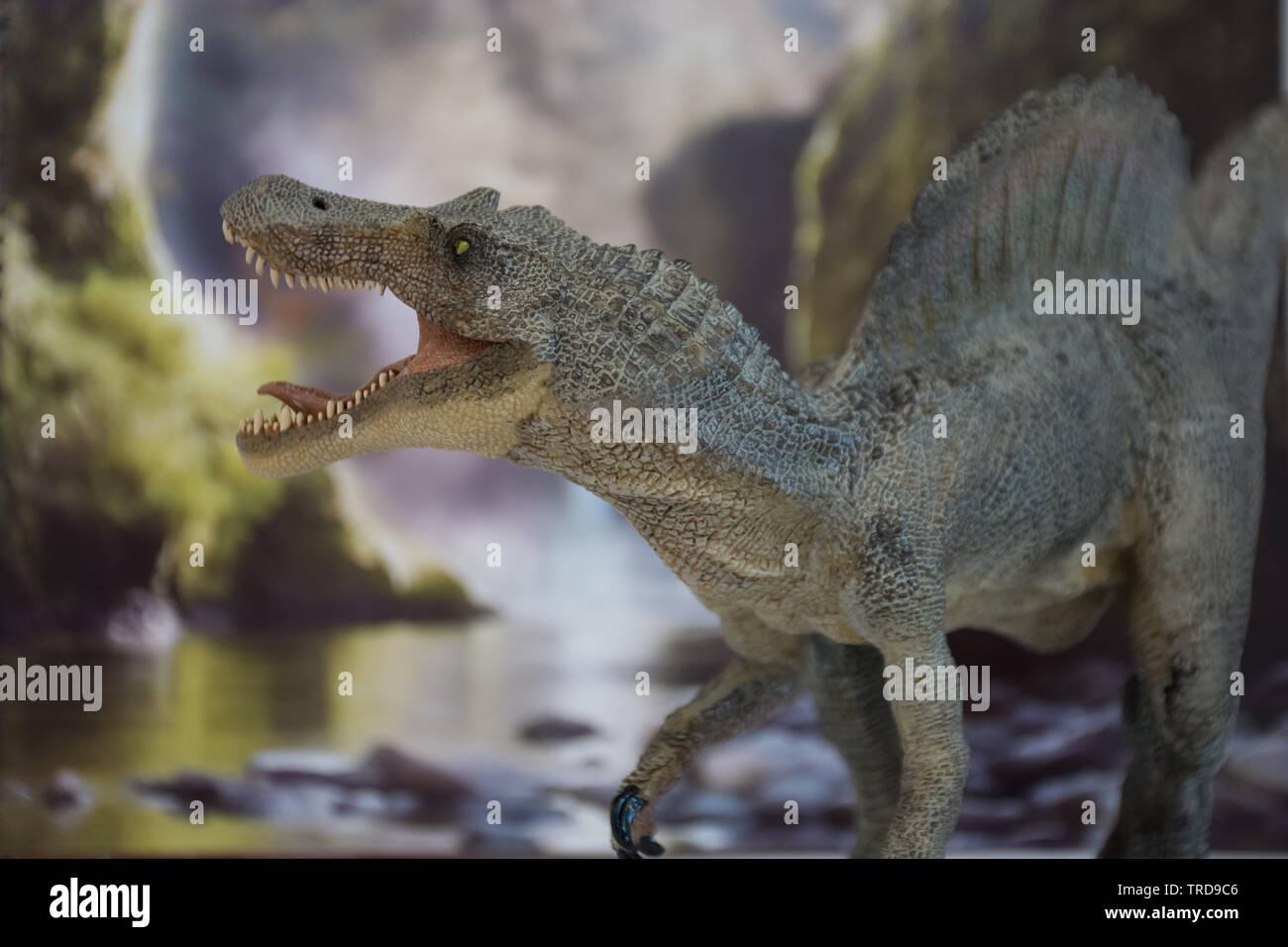 Spinosauro aegyptiacus immagini e fotografie stock ad alta risoluzione ...