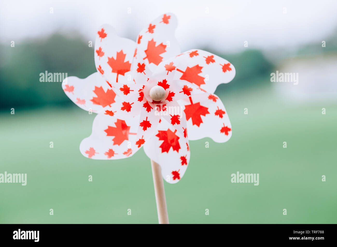 Simbolo del multiculturalismo immagini e fotografie stock ad alta ...