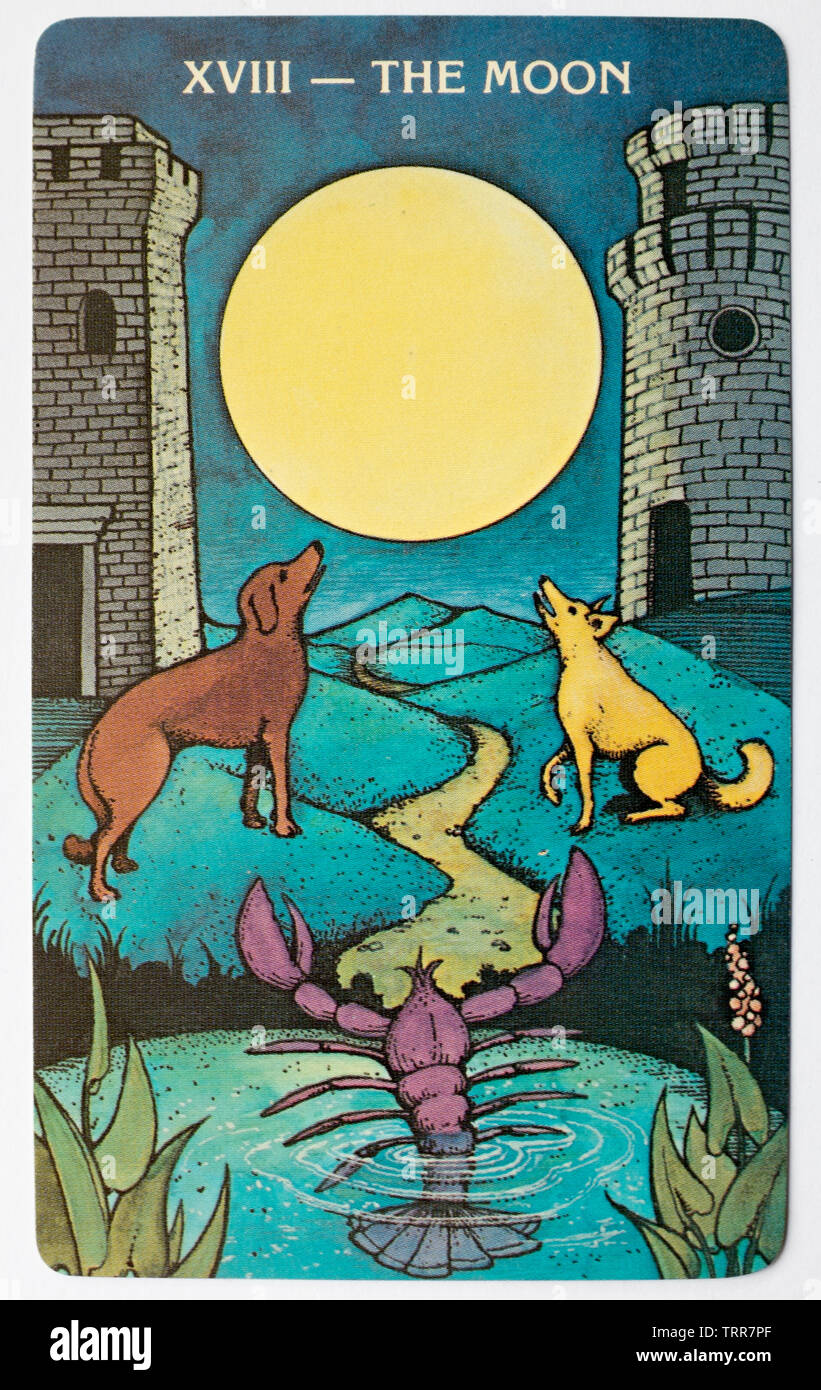 Carta imperatrice tarocchi immagini e fotografie stock ad alta ...