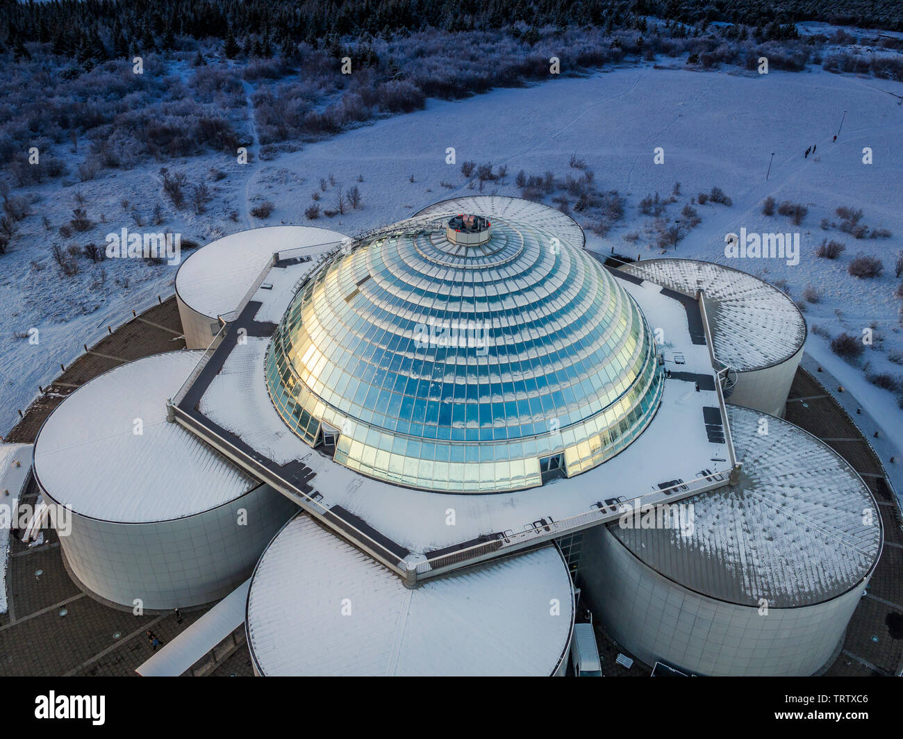 Perla atlantica immagini e fotografie stock ad alta risoluzione - Alamy