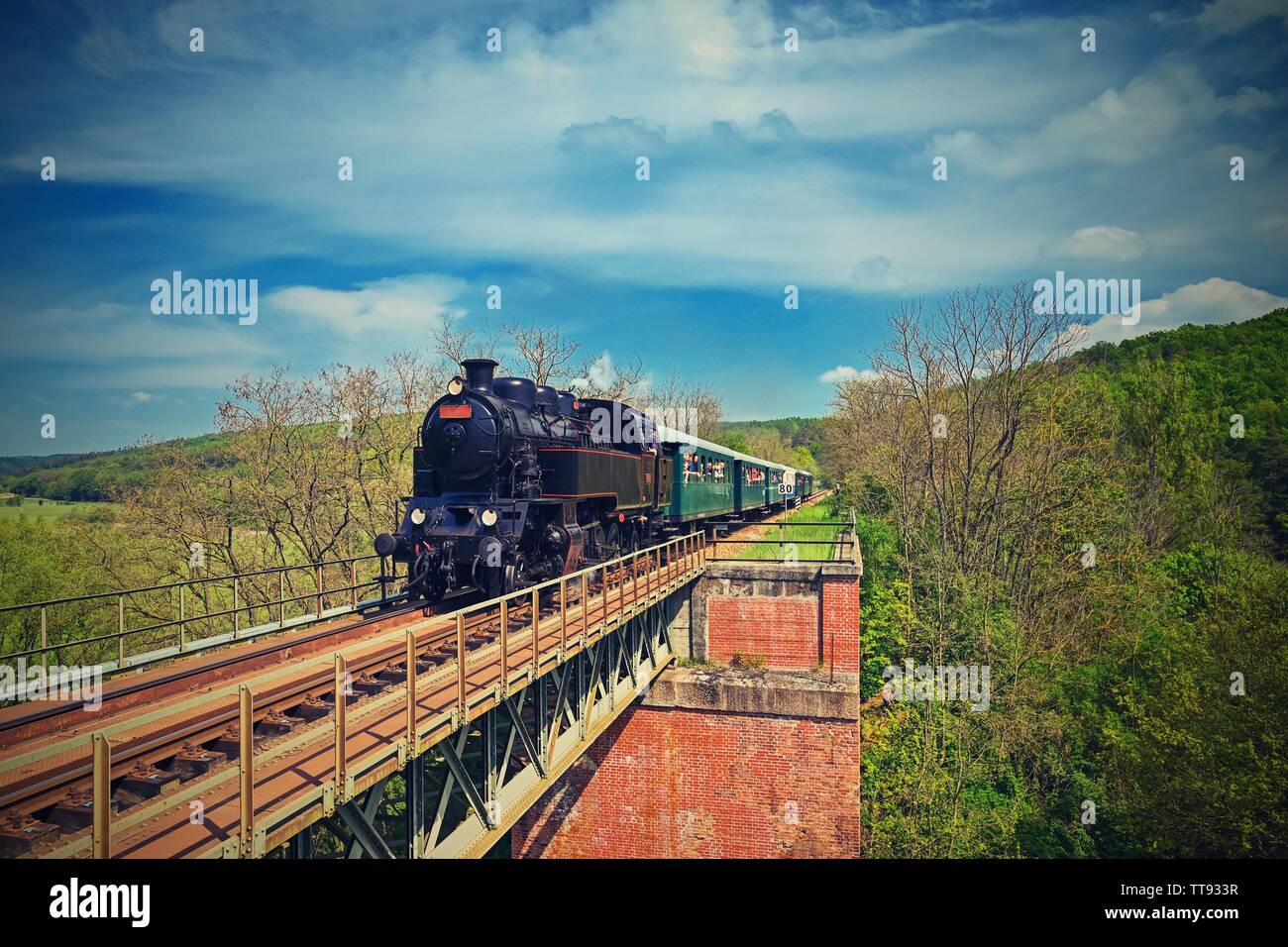 Bel vecchio treno a vapore la guida lungo un ponte in campagna. Nozione di viaggio, trasporto e ...